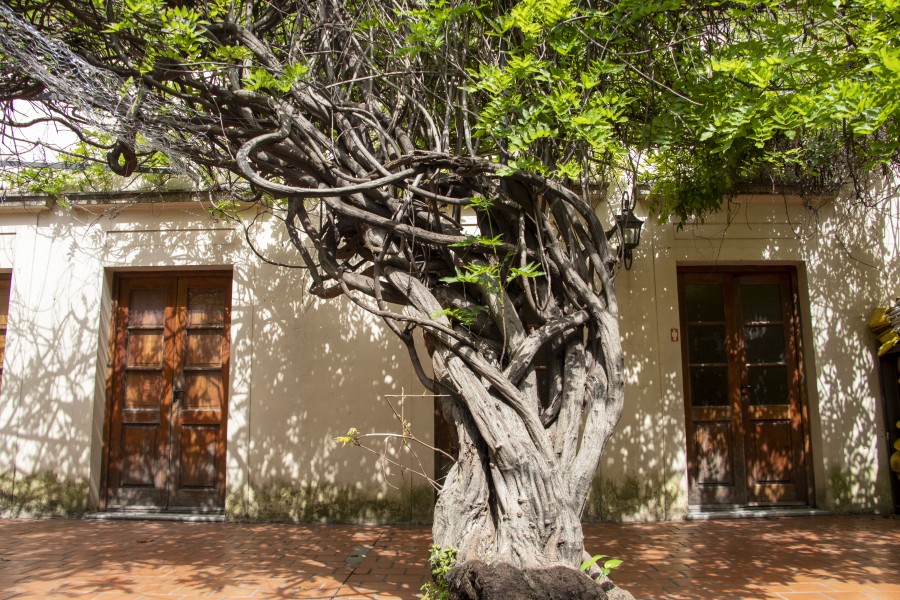 Audiovisual Buenos Aires | Casa Marcó del Pont - 1800-1900 Centros ...